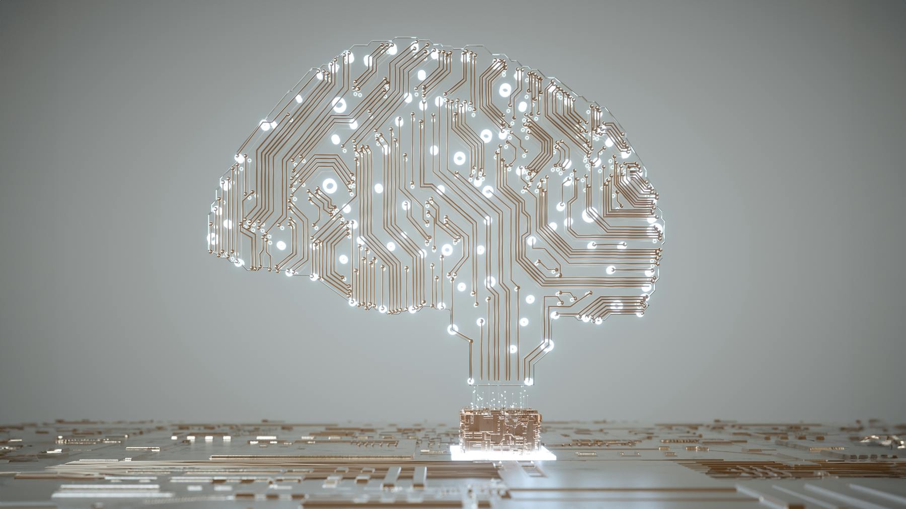 The Startups Helping Businesses Decode AI Decisions — The Information