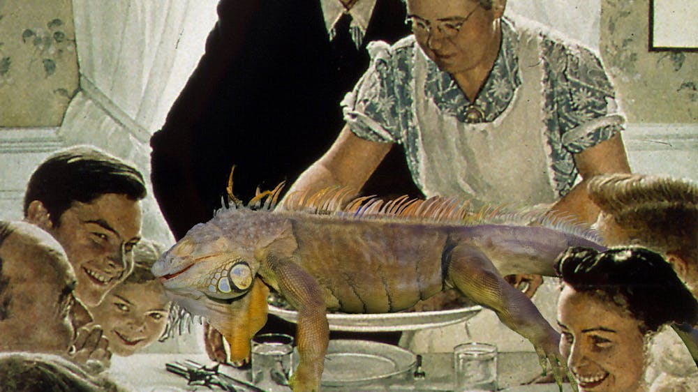 Culling the ‘Chicken of the Tree’: YouTube Hunters Are Taking Down ...