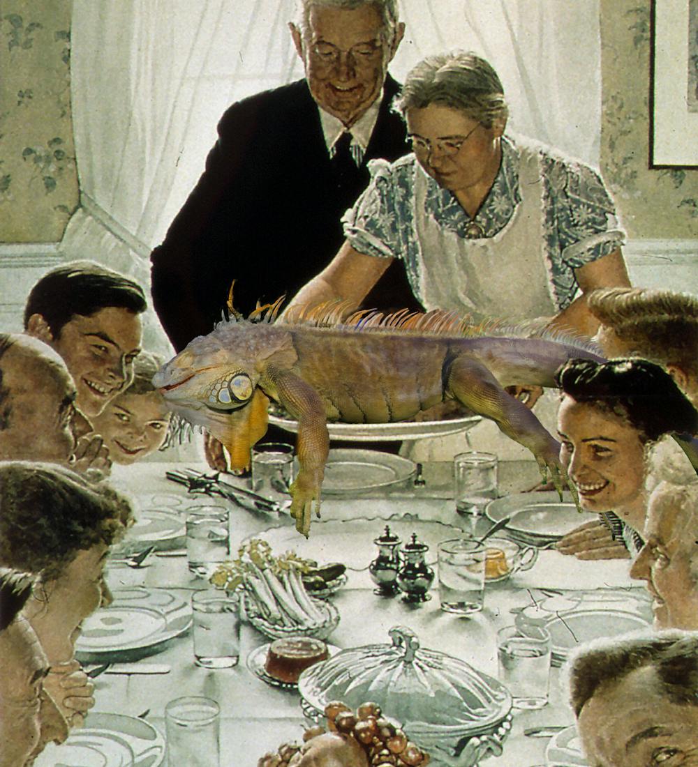 Culling the ‘Chicken of the Tree’: YouTube Hunters Are Taking Down ...