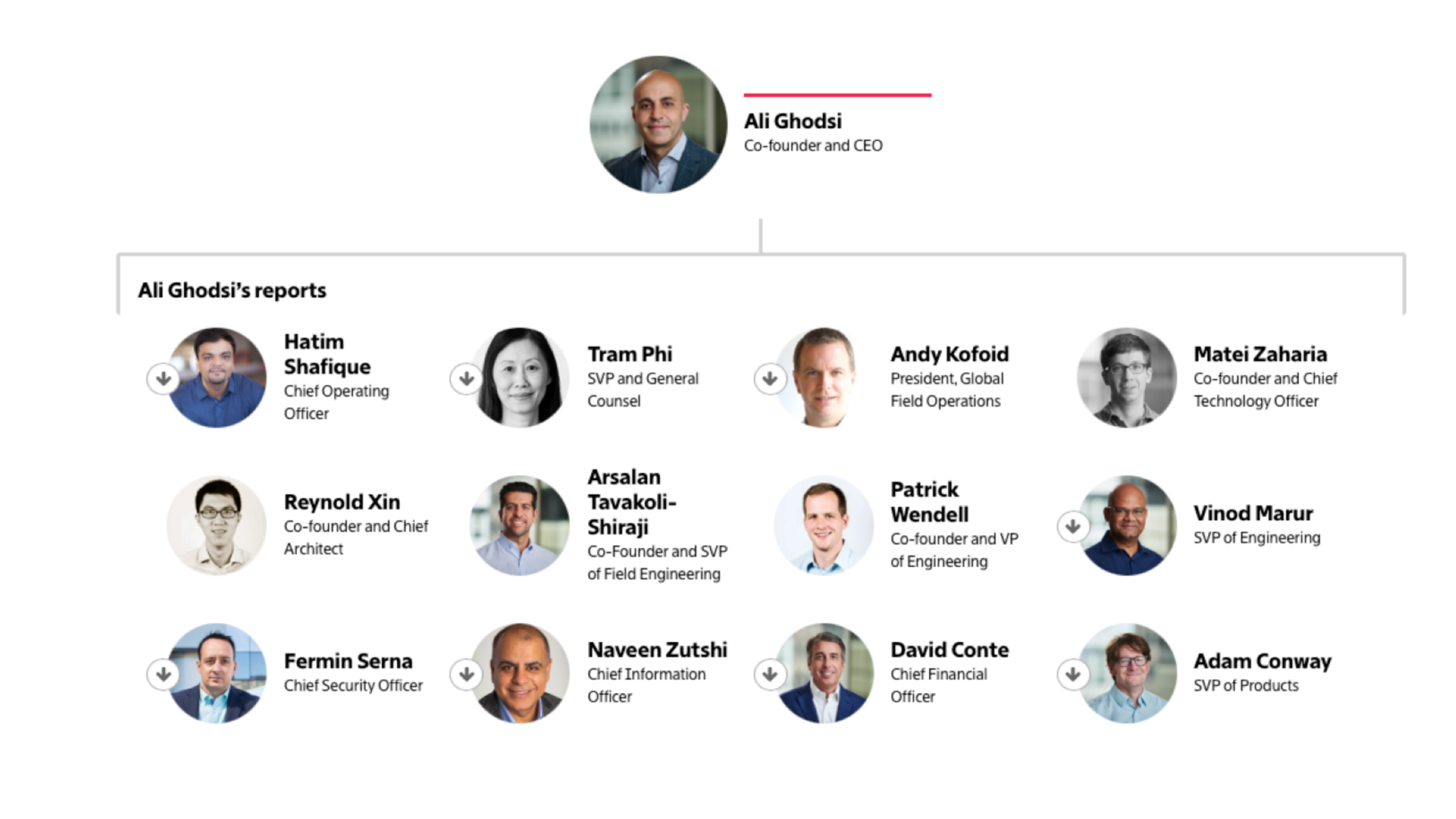 Databricks Org Chart & Company Structure Hierarchy — The Information